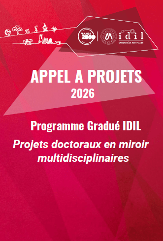 CALL FOR PROPOSALS FOR THE IDIL 2026 MIRROR DOCTORAL PROGRAM - IDIL ...